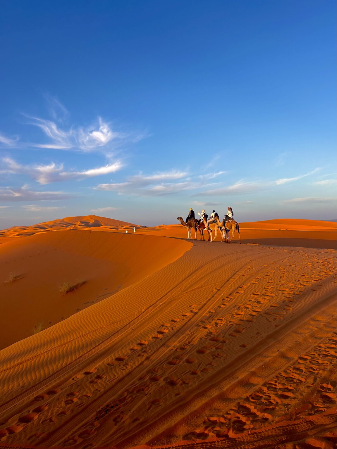 What is revenge travel? Is revenge travel still a thing?